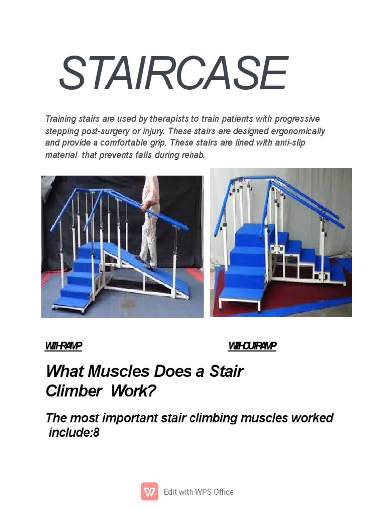 Staircase: What Muscles Does A Stair Climber Work? | PDF