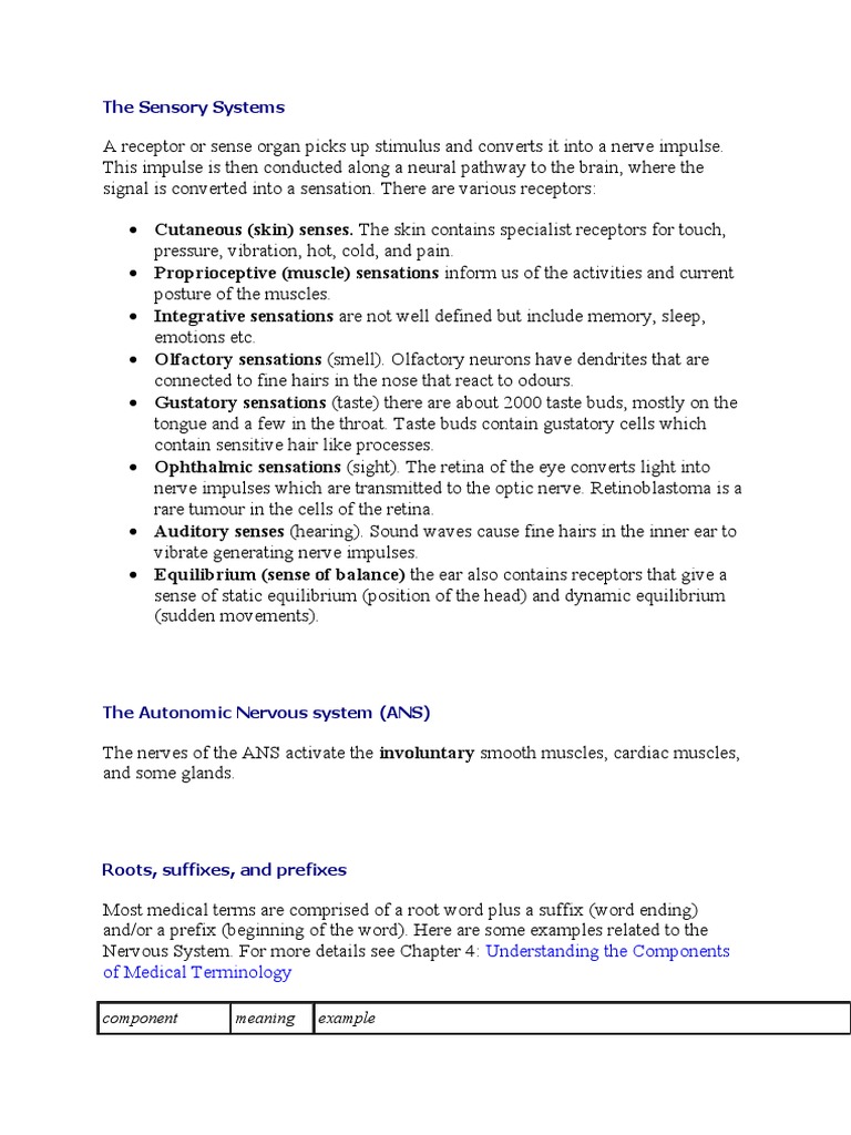 The Sensory Systems: Understanding The Components of Medical ...