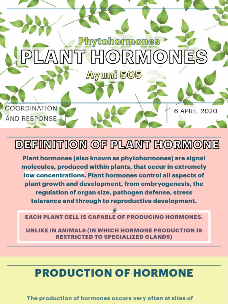 Note Phytohormones | PDF | Plant Hormone | Auxin