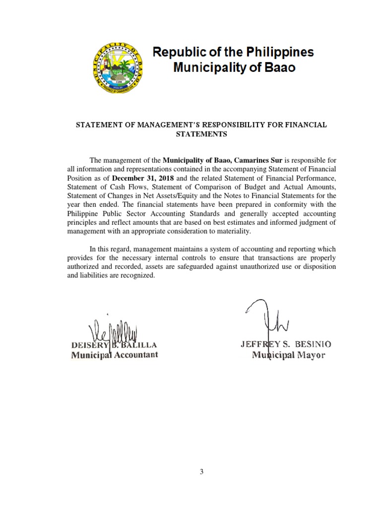 Statement of Management'S Responsibility For Financial Statements | PDF
