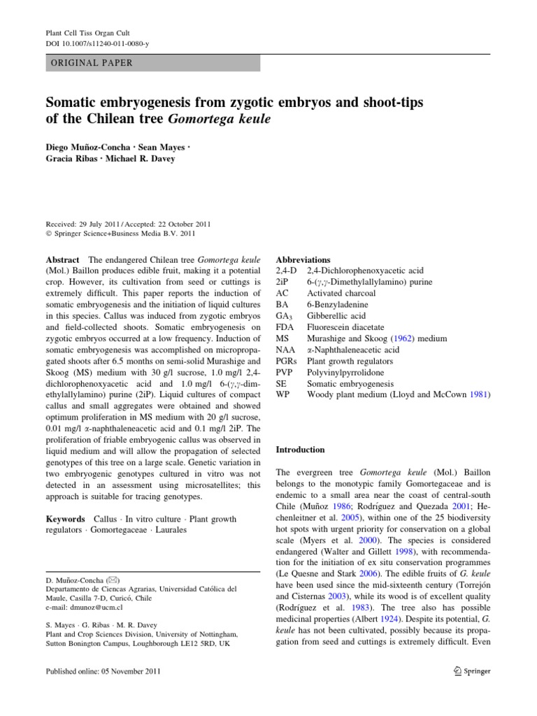 Somatic Embryogenesis | PDF | Embryo | Organisms