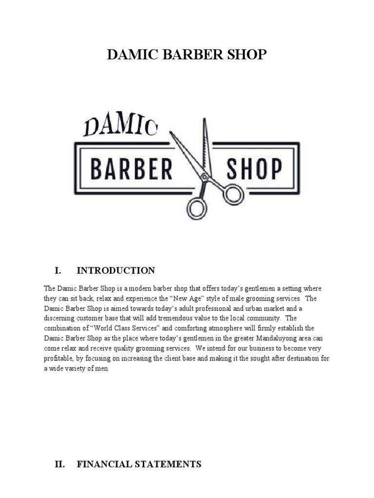 Damic Barber Shop | PDF | Balance Sheet | Equity (Finance)