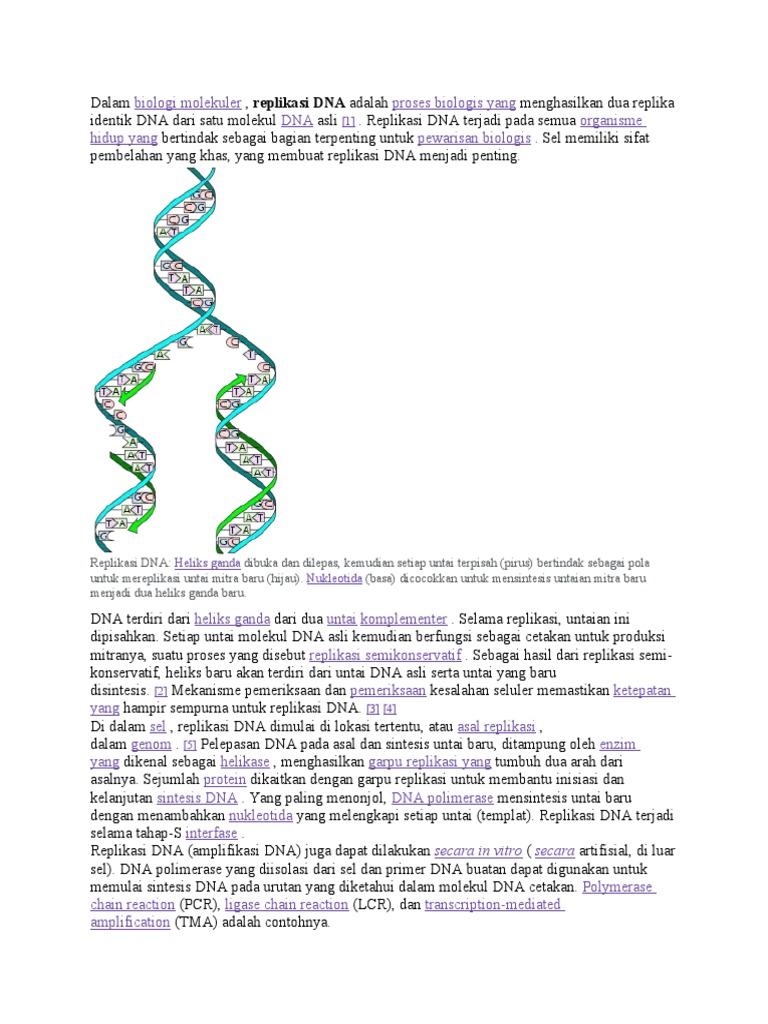Replika Dna | PDF