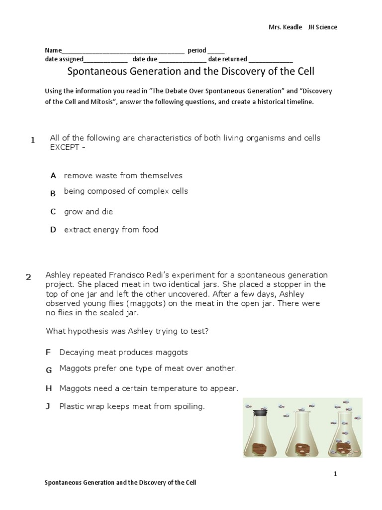 Discovery of The Cell Timeline | PDF | Eukaryotes | Cell (Biology)