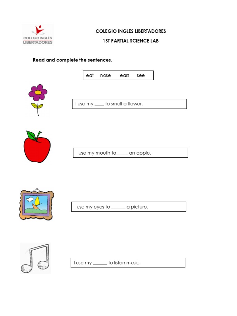 Colegio Ingles Libertadores 1St Partial Science Lab: Eat Nose Ears See ...