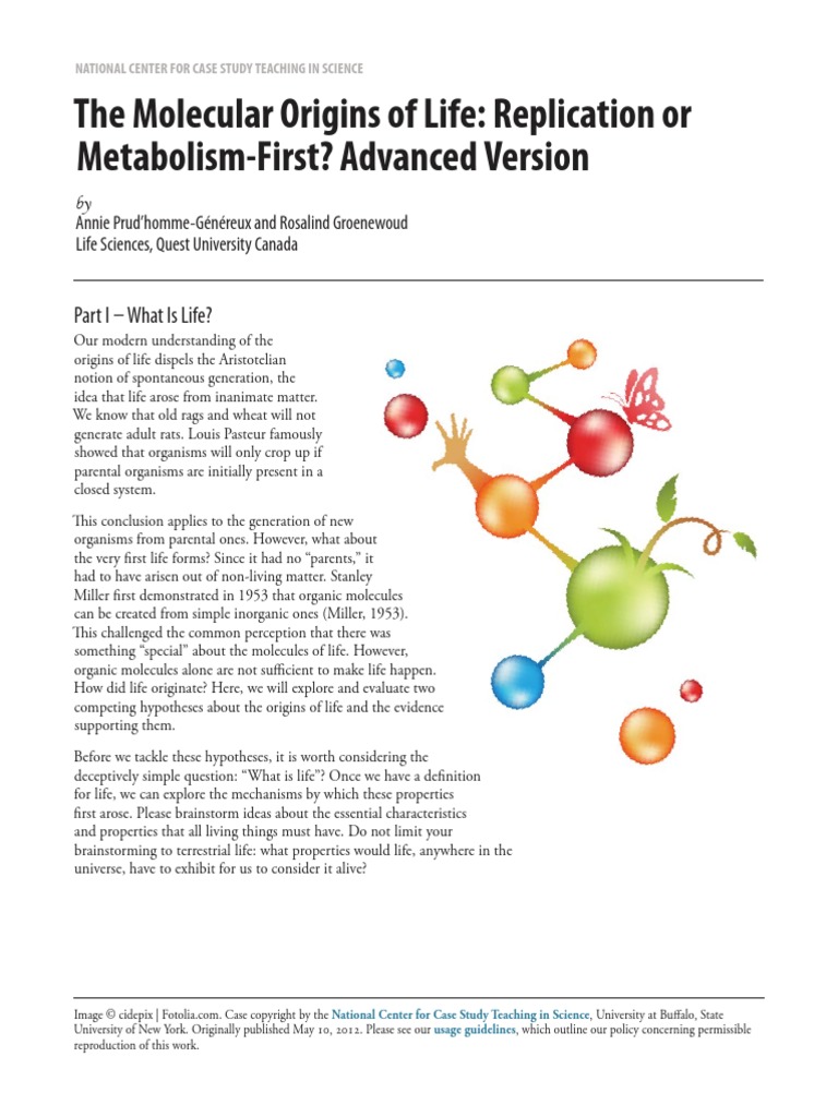The Molecular Origins of Life: Replication or Metabolism-First ...