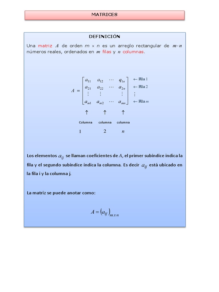 Definición y Ejemplos de Matrices | PDF