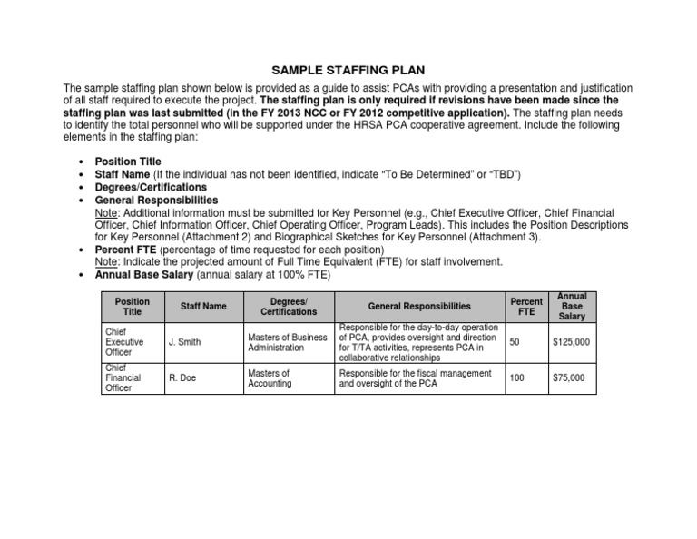 Sample Staffing Plan | Download Free PDF | Business