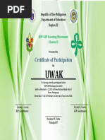 BSP GSP Certificate | PDF