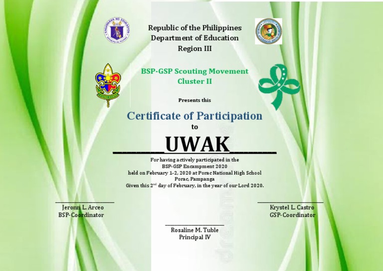 Certificate of Participation: Republic of The Philippines Department of ...