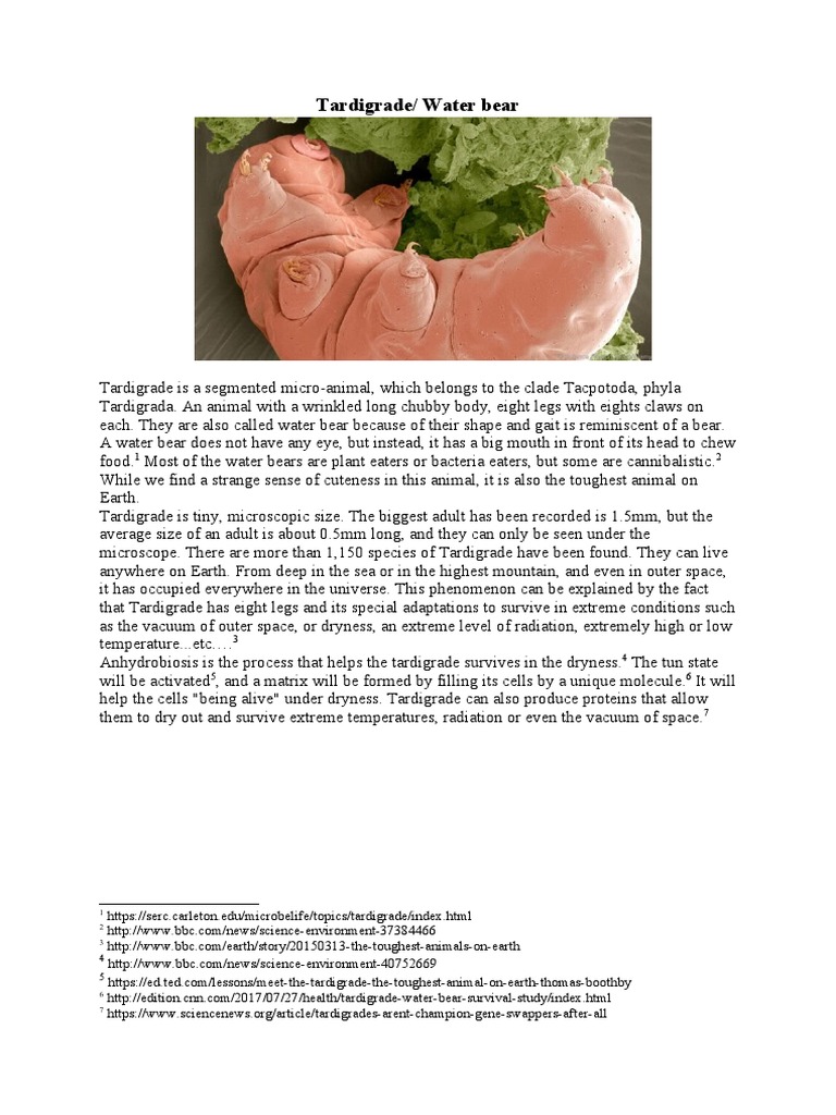 Backup of Tardigrade | PDF | Biology | Organisms