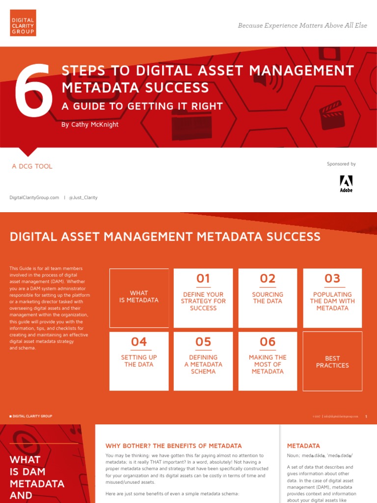 Steps To Digital Asset Management Metadata Success: A Guide To Getting ...
