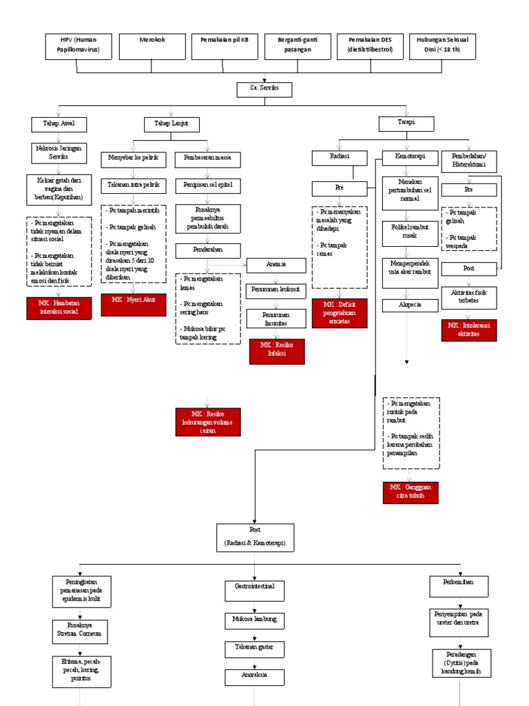 WOC Ca. Serviks | PDF