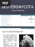 MAKALAH Basidiomycota | PDF