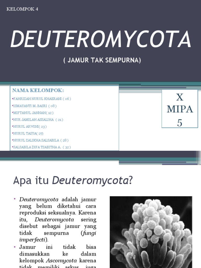 DEUTEROMYCOTA | PDF