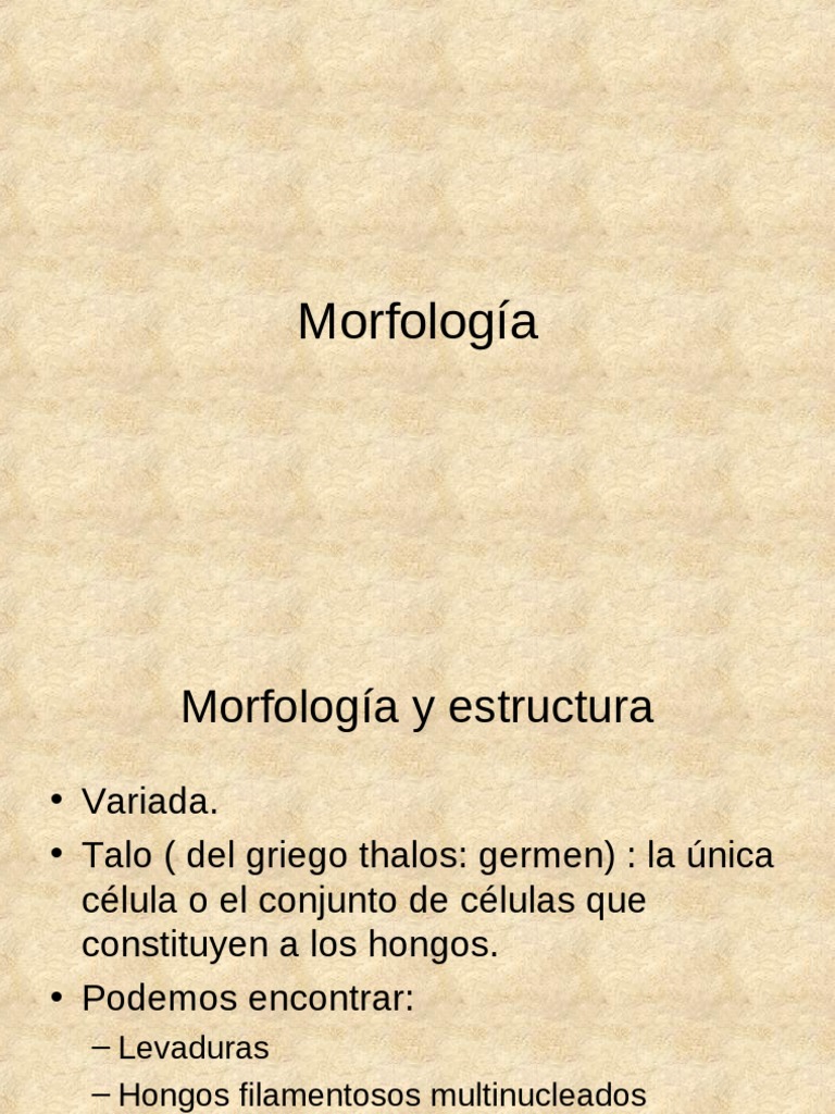 Morfología y Estructura de Hongos | PDF | Hongo | Micología