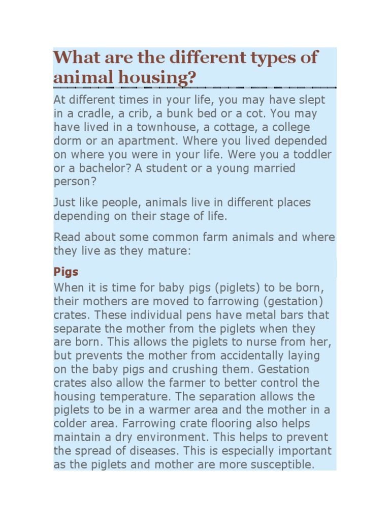 Different Types of Animal Housing | PDF | Calf | Cattle