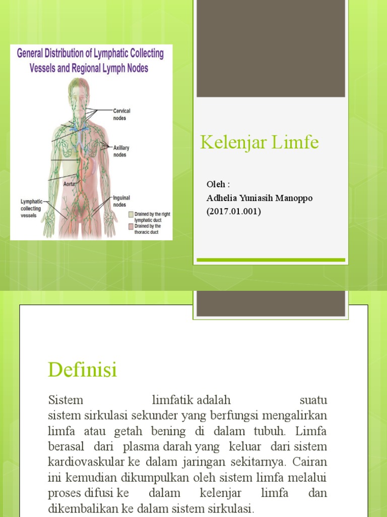 Kelenjar Limfe | PDF