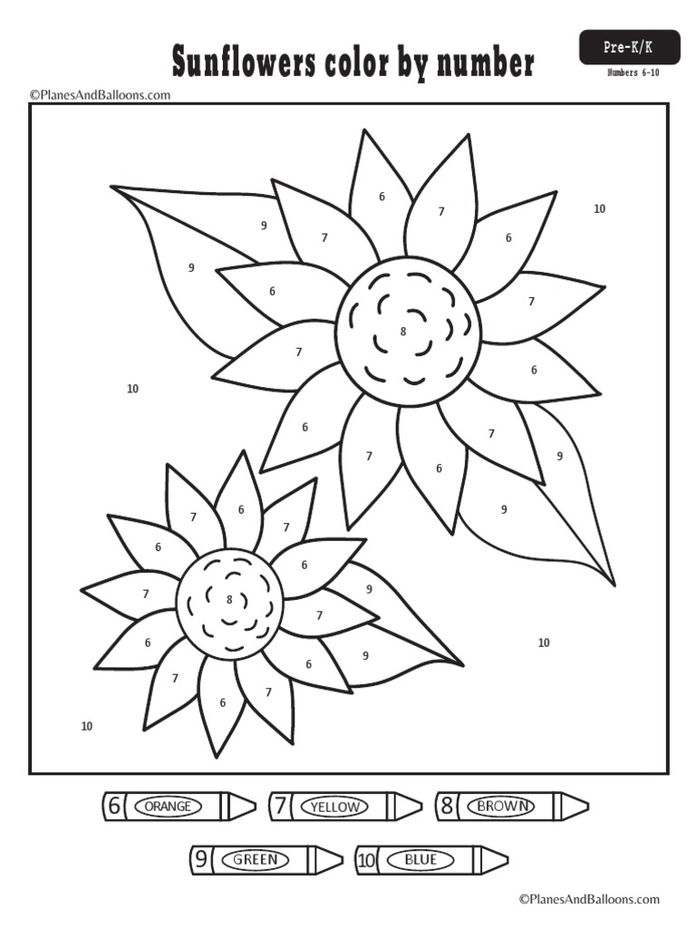 Sunflower Color by Number PDF | PDF | Qualia | Color