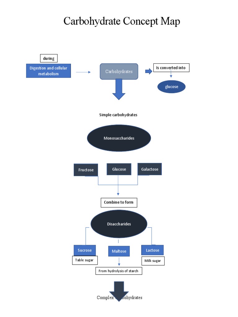 Carbohydrate Concept Map: Digestion and Cellular Metabolism Glucose | PDF