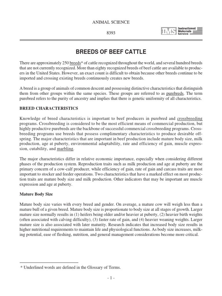 Breeds of Beef Cattle: Animal Science 8393 | PDF | Cattle | Breeds
