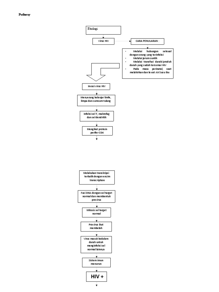 Hiv Pathway | PDF