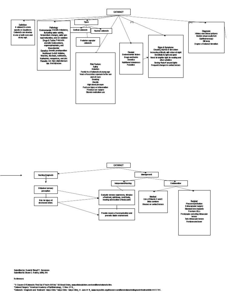 Concept Map CATARACT | Download Free PDF | Cataract | Visual System