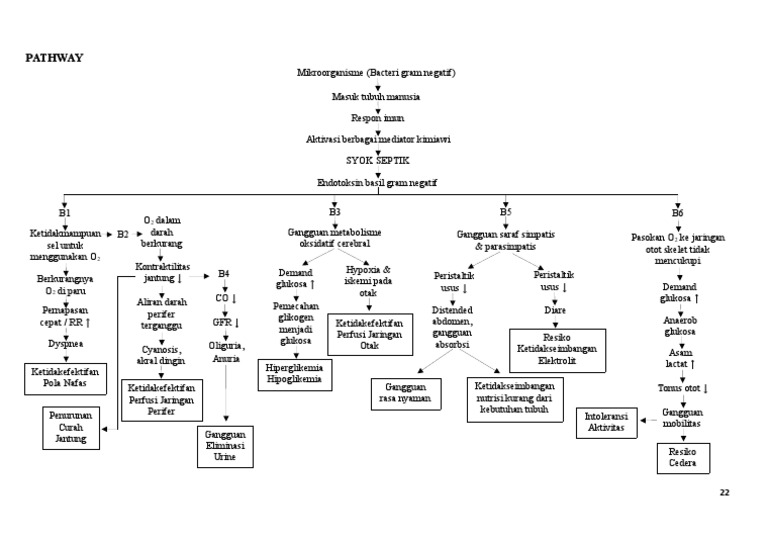 Pathway Syok Sepsis | PDF