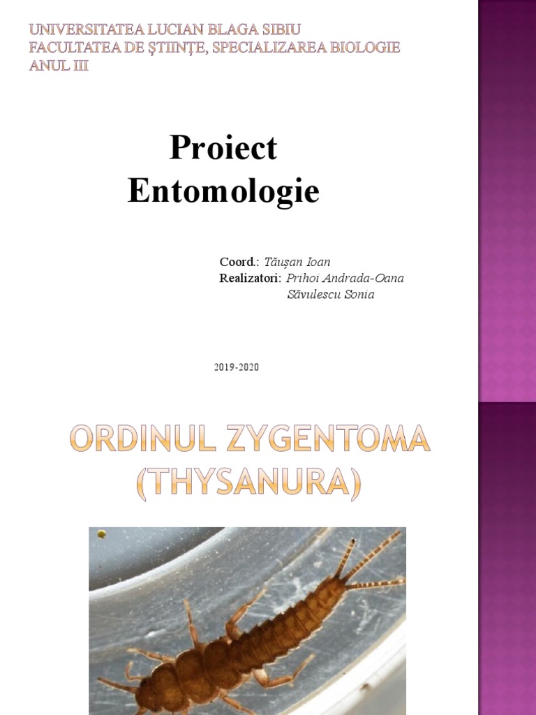 Ordinul Zygentoma | PDF