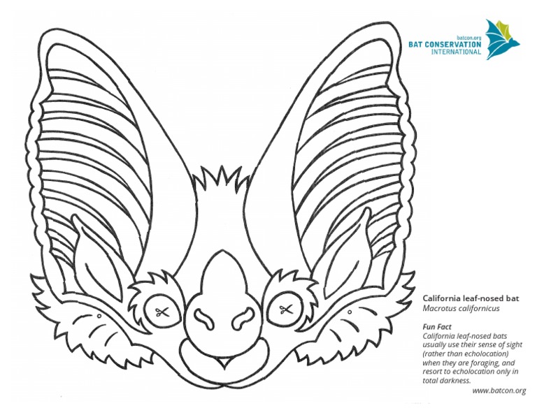 California Leaf-Nosed Bat: Macrotus Californicus | PDF