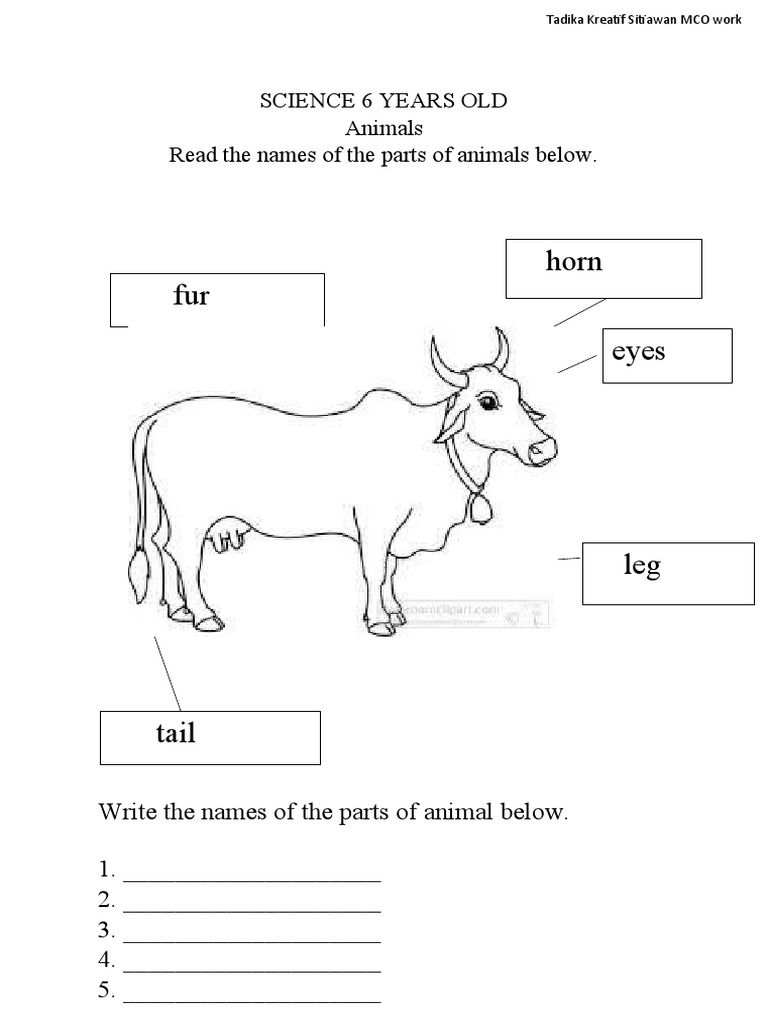 Animal Parts for Kids | PDF