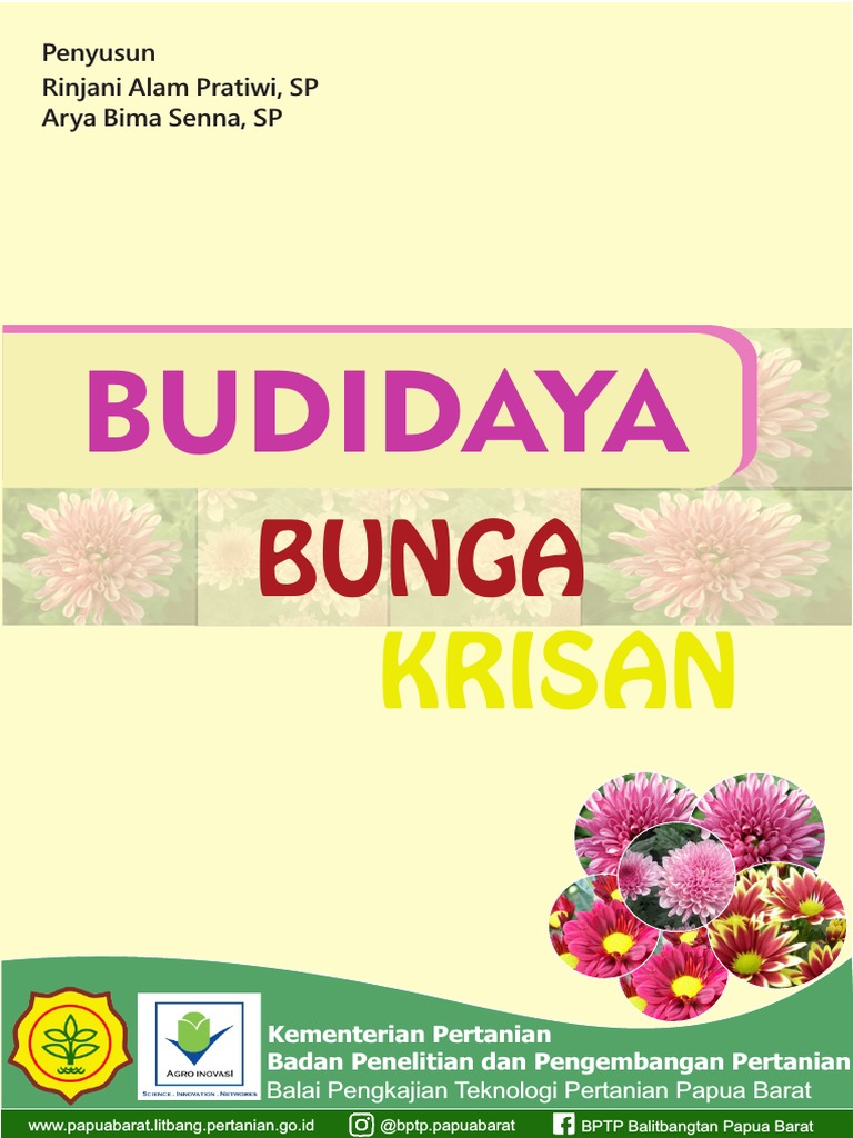 Booklet Budidaya Bunga Krisan | PDF