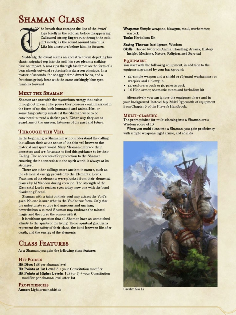 Shaman Class DND 5e | PDF