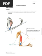 PALESTESIA Definicion y Exploración | PDF | Mano | Sistema ...