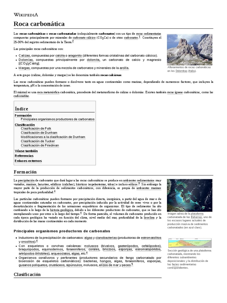 Roca Carbonática | Descargar gratis PDF | Petrología | Geología