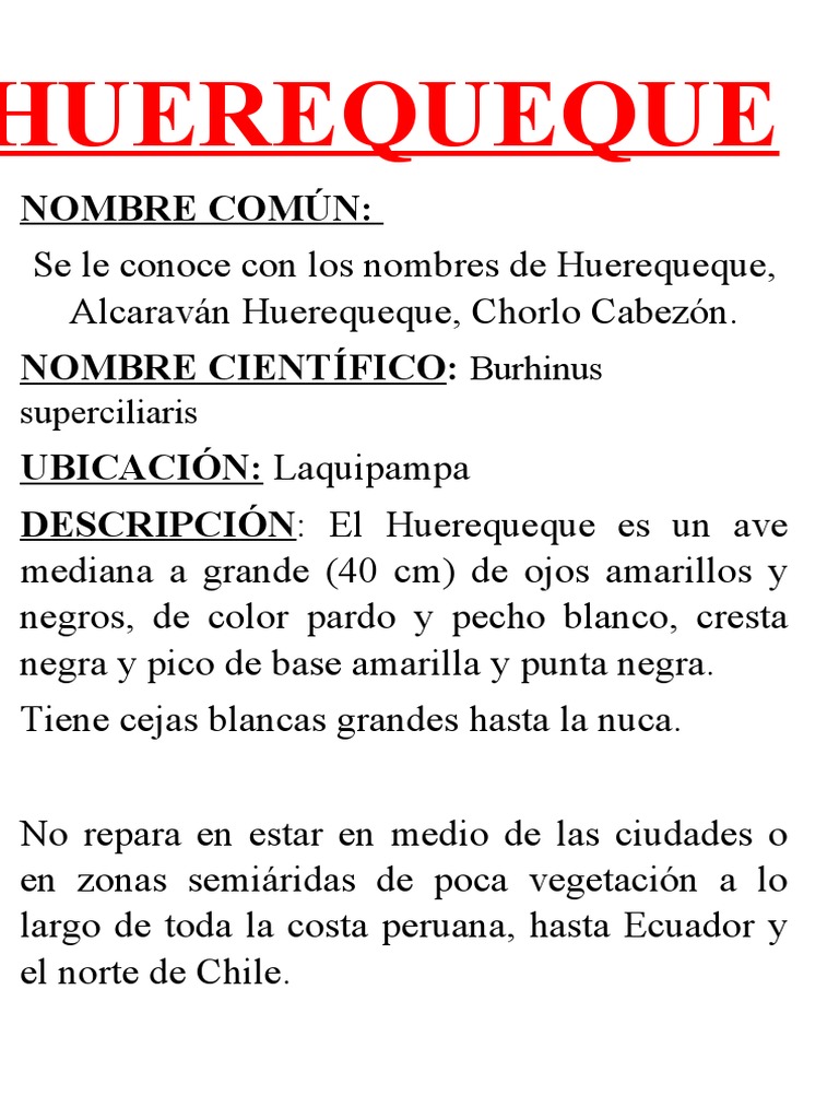 HUEREQUEQUE | PDF