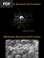 Biology Membranes A-Level OCR Notes | PDF | Cell Membrane | Biotechnology