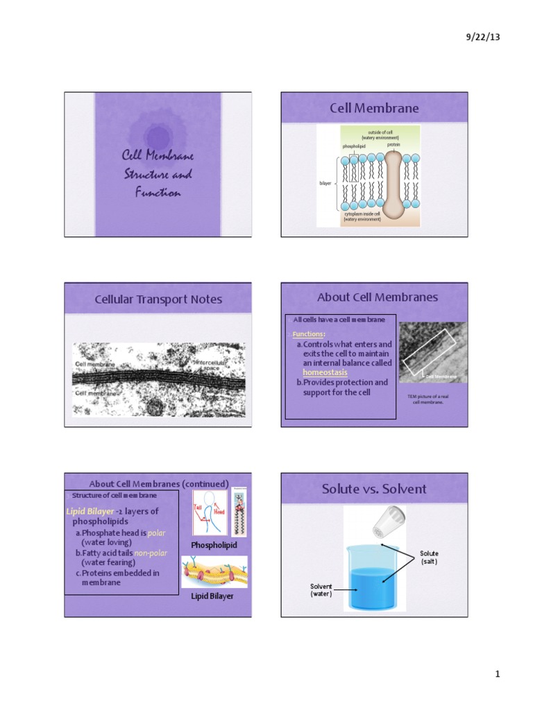 Notes - Cell Membrane Structure and Function | PDF | Cell Membrane ...