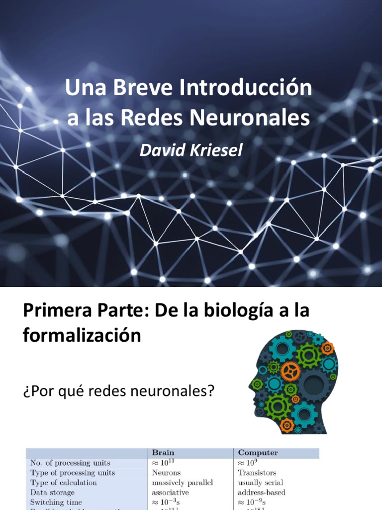 Una Breve Introduccion A Las Redes Neuronales | PDF | Red neuronal artificial | Neurona