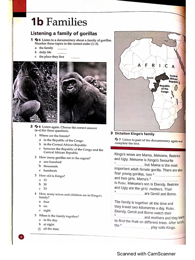 Unit 1 | PDF