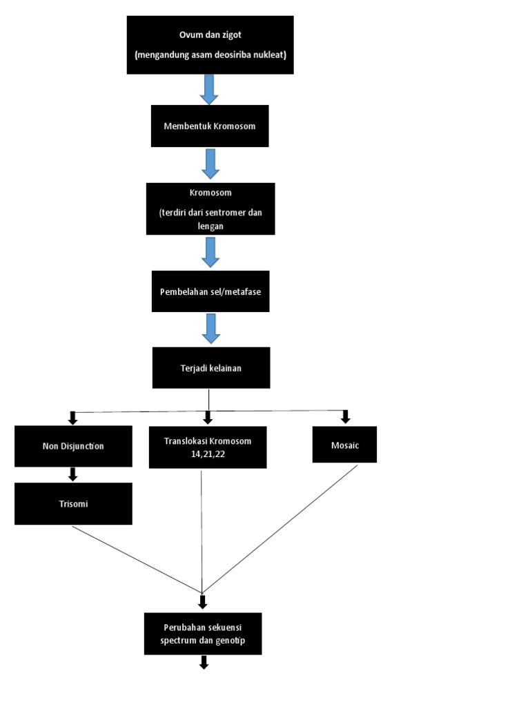 Pathway Down Syndrome | PDF
