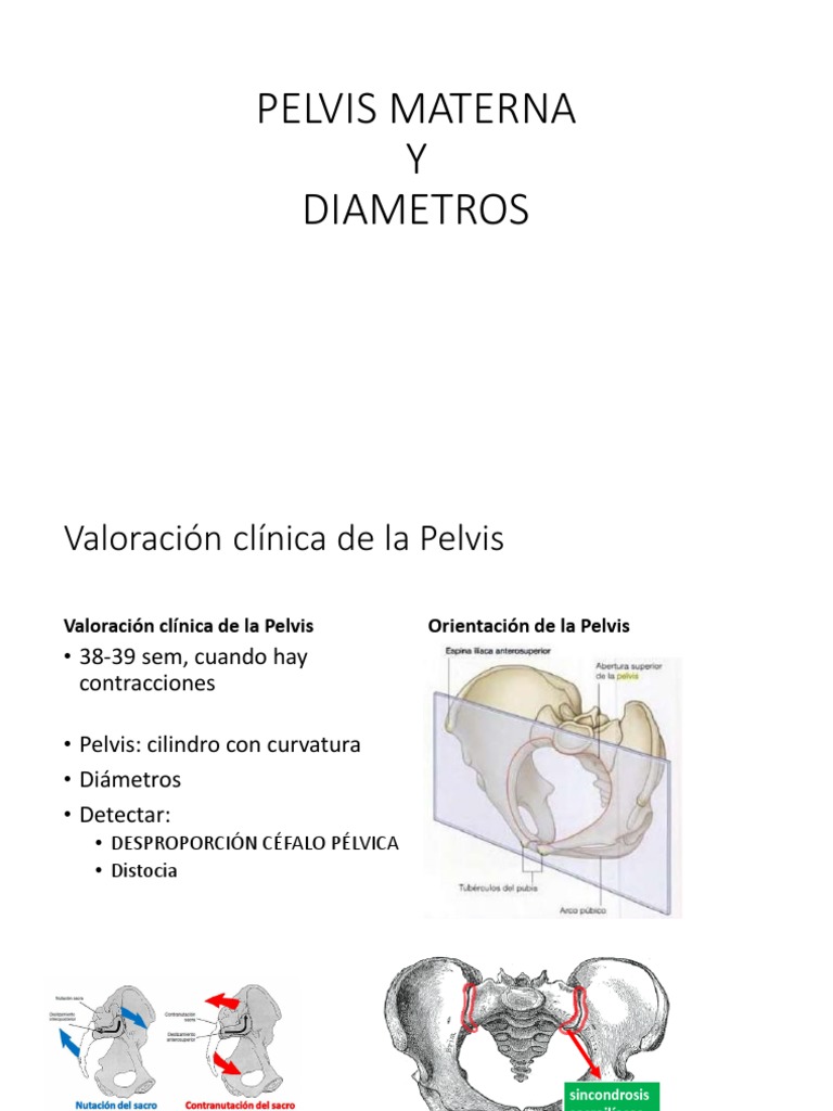 Pelvimetria MATERNA | PDF | Pelvis | Sistema esquelético