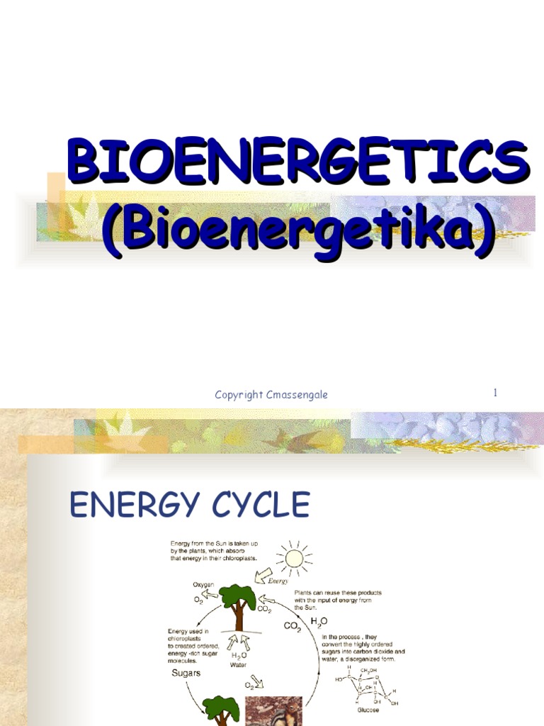 BIOENERGETICS | PDF | Metabolic Pathway | Bioenergetics