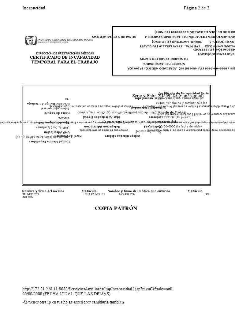 Formato de Incapacidad IMSS Editable | PDF | Salud y bienestar | Medicina