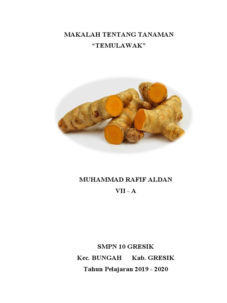 Makalah Tentang Tanaman Temulawak | PDF