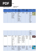 Bacterial ID Flowchart | PDF | Streptococcus | Staphylococcus