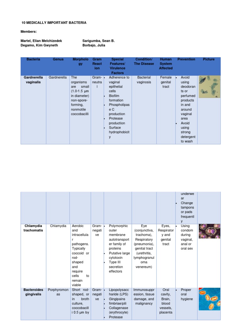 Key Medically Significant Bacteria | PDF