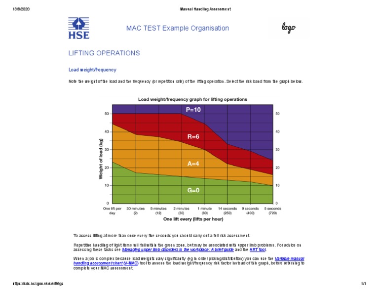 Manual Handling Assessment - 5 | PDF