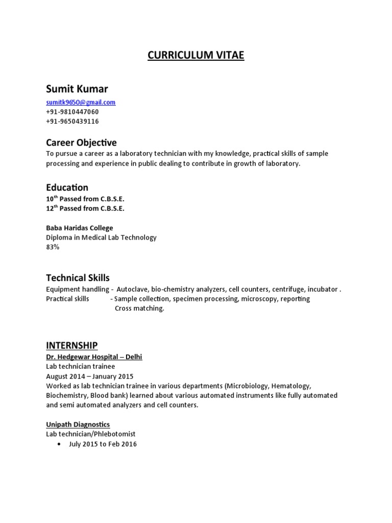 Curriculum Vitae Sumit Kumar: Career Objective | PDF