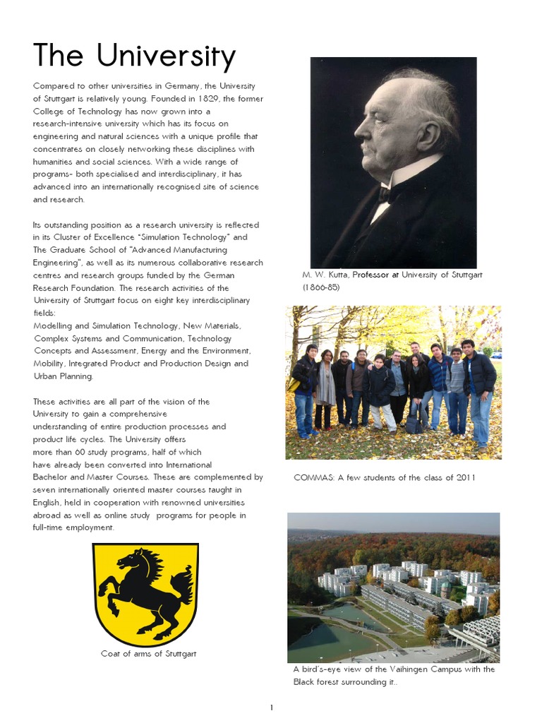 The University: Rofessor at | PDF